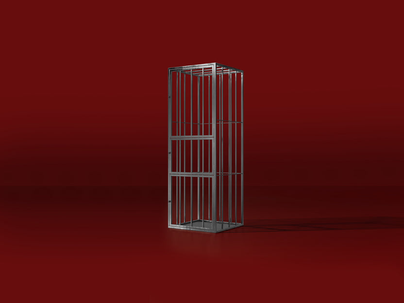 BDSM Cages | Bespoke Steel Confinement | Sanctum Domina