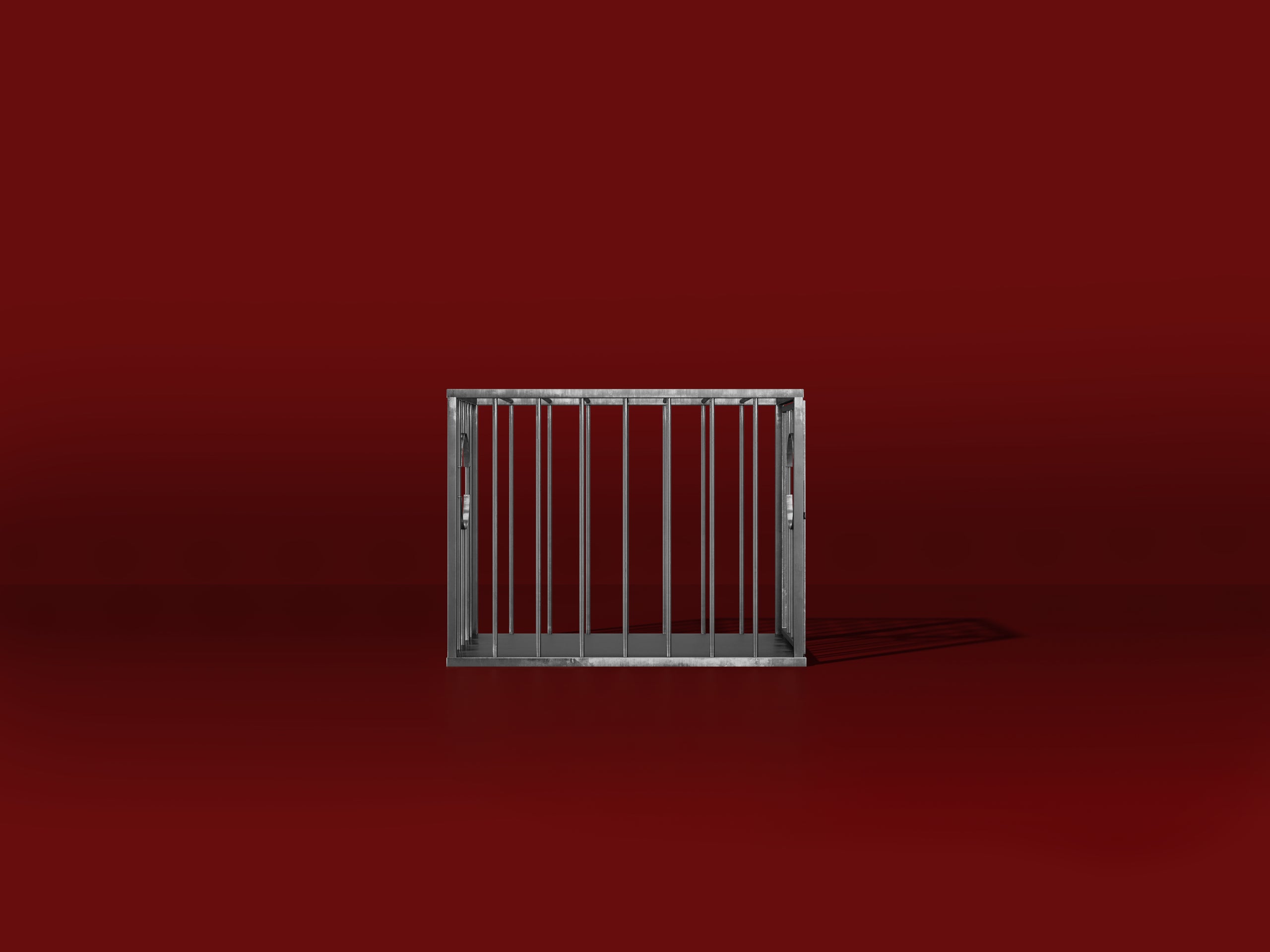 BDSM Cages | Bespoke Steel Confinement | Sanctum Domina